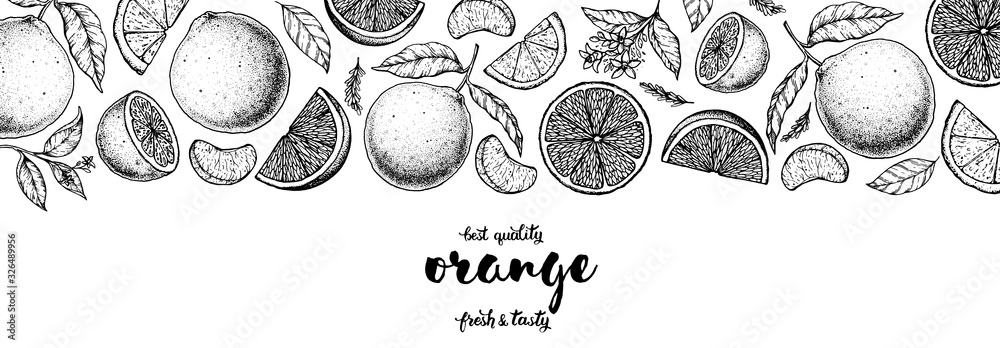 Orange hand drawn vector illustration. Orange sketch for design. Black ...