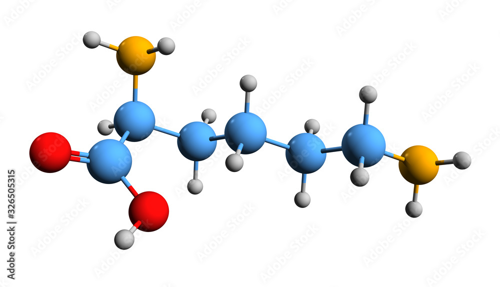 3D image of lysine skeletal formula - molecular chemical structure of ...