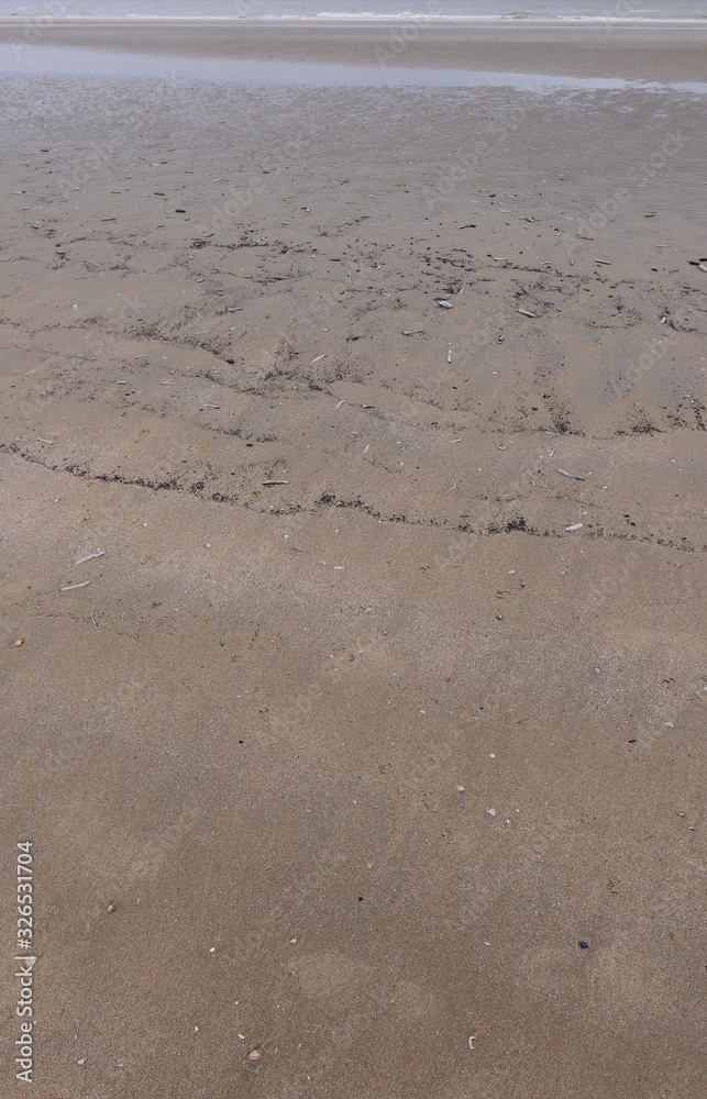 the transition from the sea to the land. sea floor with prints of small ...