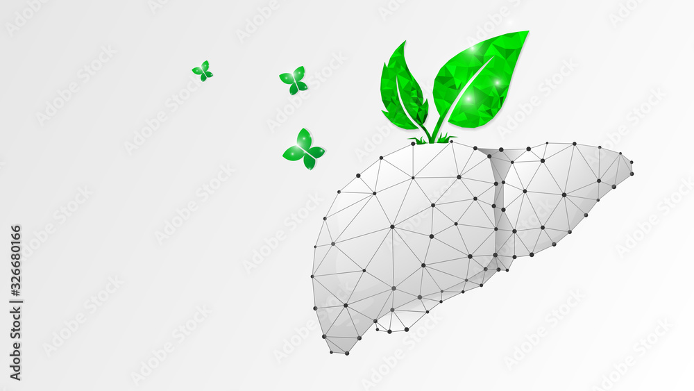 Healthy Liver, human organ with green leaves and butterfly. Adult body ...