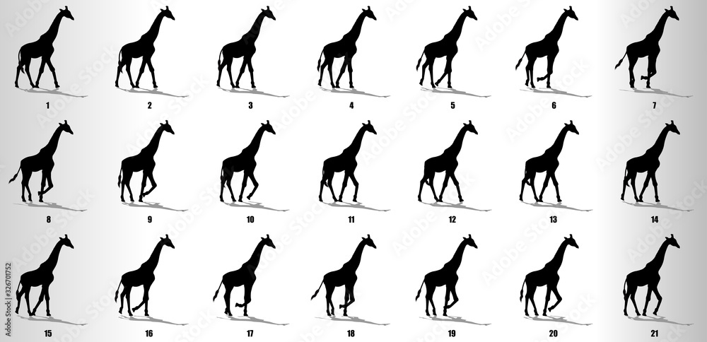 Giraffe walk cycle animation frames silhouette, loop animation sequence ...