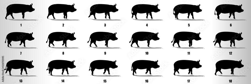 Pig walk cycle animation frames silhouette, loop animation sequence ...