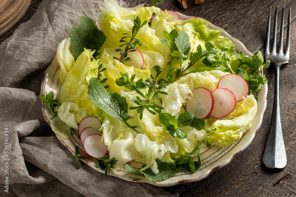 Spring salad with wild edible plants - chickweed, young bedstraw and ...