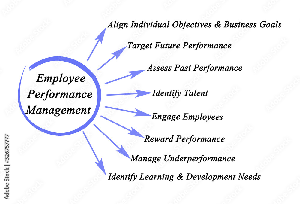 Components of Employee Performance Management. Stock Illustration ...