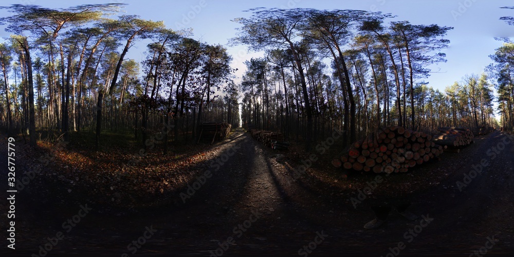 Forest HDRI Panorama Stock Photo | Adobe Stock