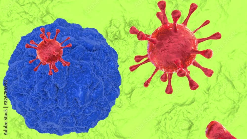 3d animation of absorption process of viruses by immune cell in the ...