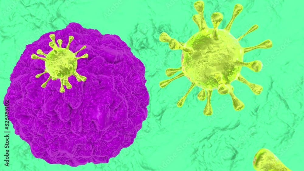 Video „3d animation of absorption process of viruses by immune cell in ...