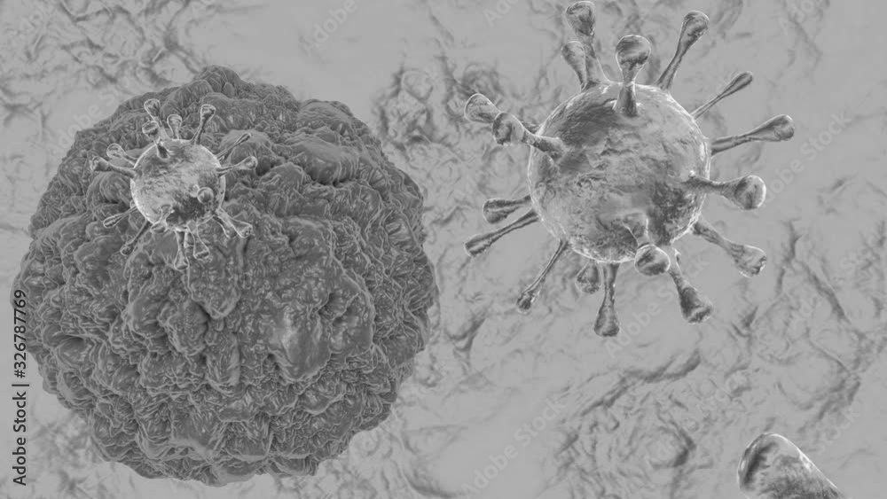 3d animation of absorption process of viruses by immune cell in the ...