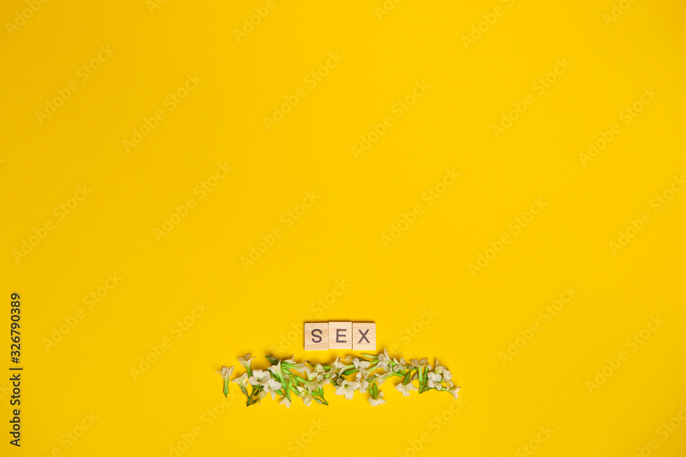 Three Wooden Blocks Letters Sex On Them Flowers Beneath Them Yellow Background Space For