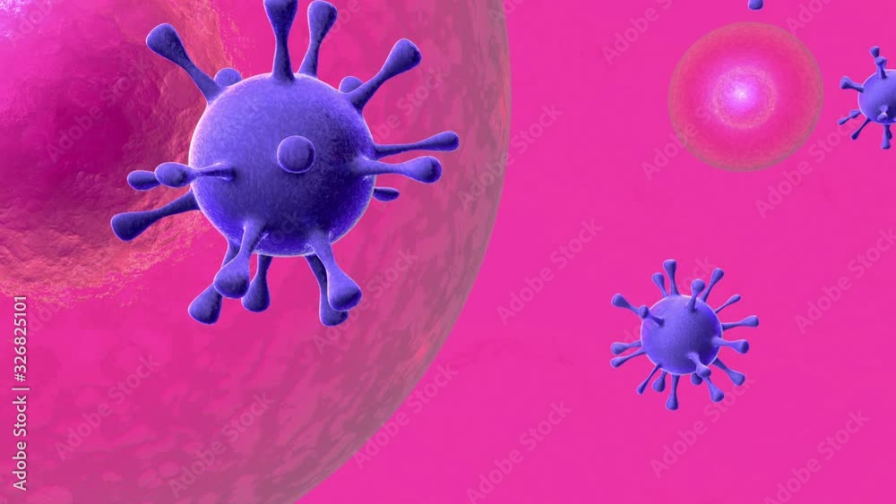 3D animation of cell infected process by viruses. Closeup process of ...