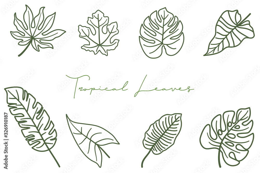 Line art Tropical leaves collection. Vector isolated elements on the ...