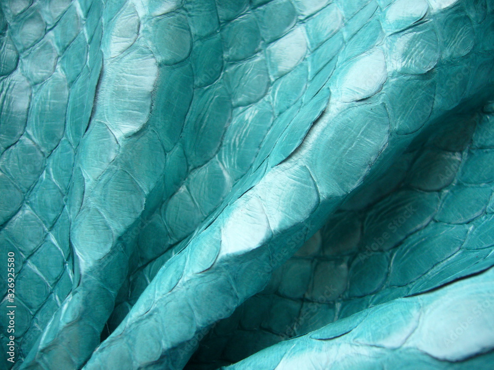 Exotic skin. Green skin of a snake, python. Haberdashery leather Stock ...