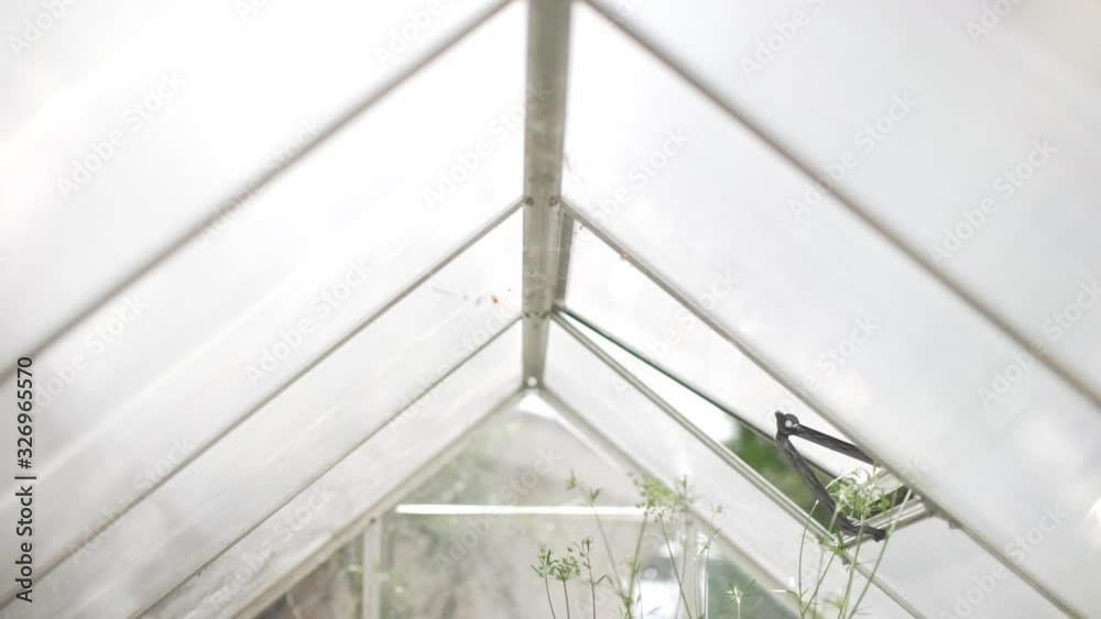 Closeup of the interior transparent glass roof of a greenhouse with sun ...