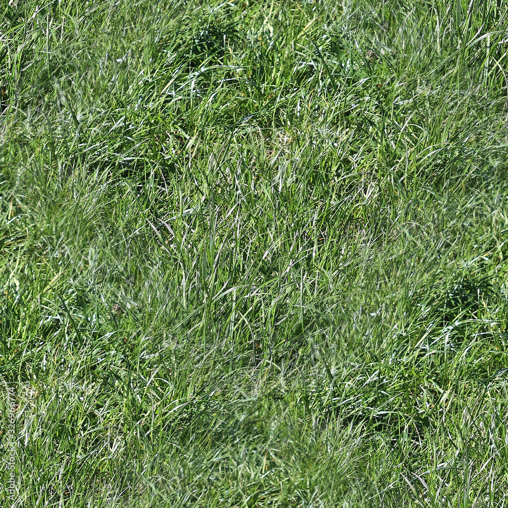 High resolution foto realistic seamless texture of green grass and ...