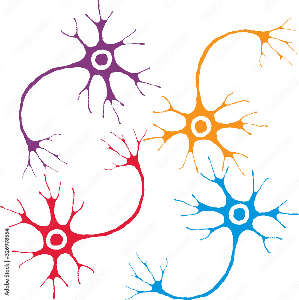 Vector image of silhouettes colorful human neurons cells Stock Vector ...