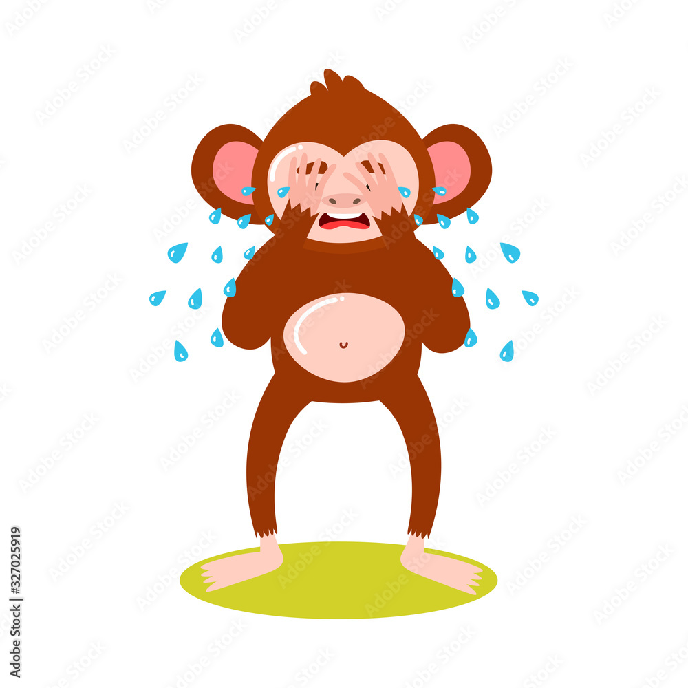 Crying Monkey