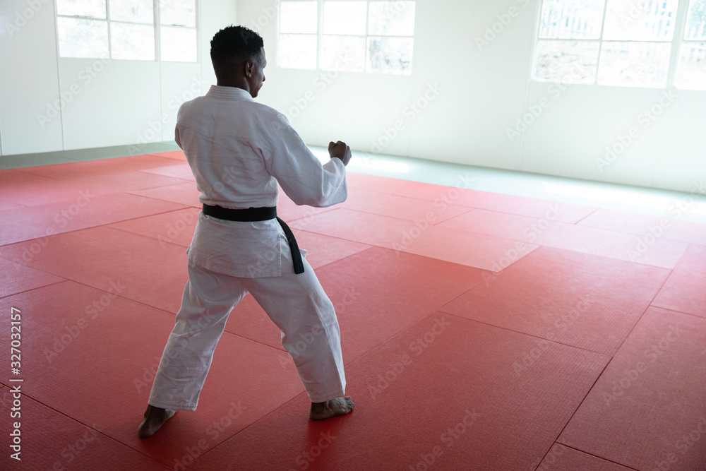 karateka striking a pose in a gym Stock Photo | Adobe Stock