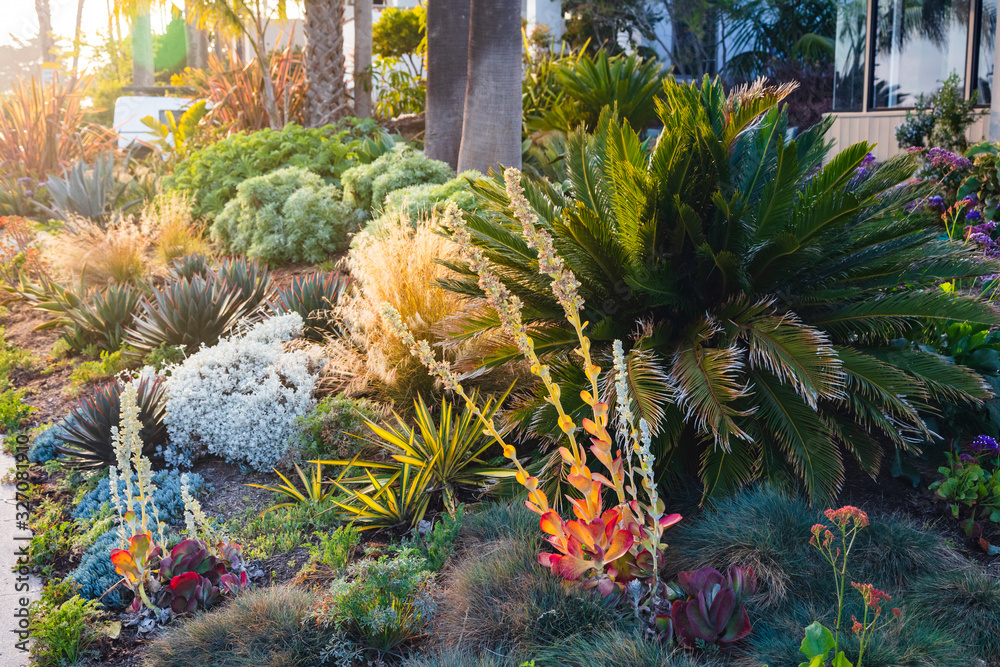 Drought tolerant landscaping store