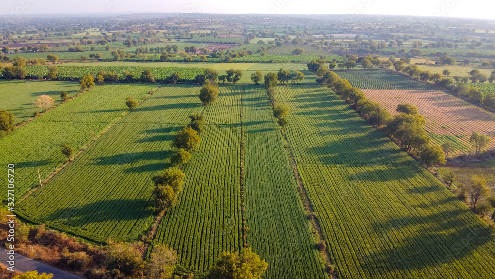 Ariel top view of agriculture field Stock Photo | Adobe Stock