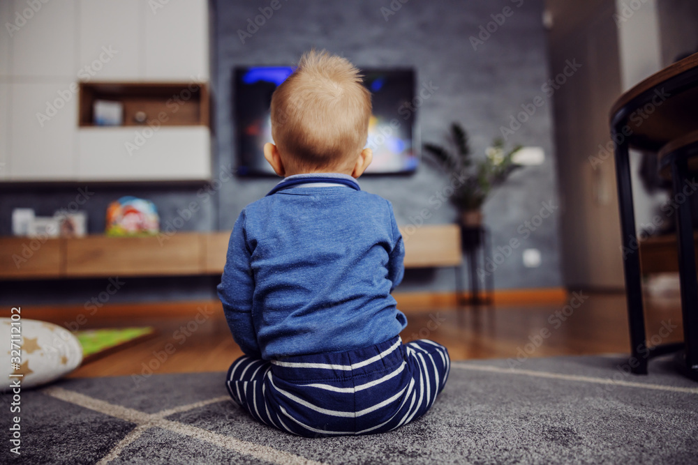 Rear view of focused blond little boy sitting on the floor in living ...