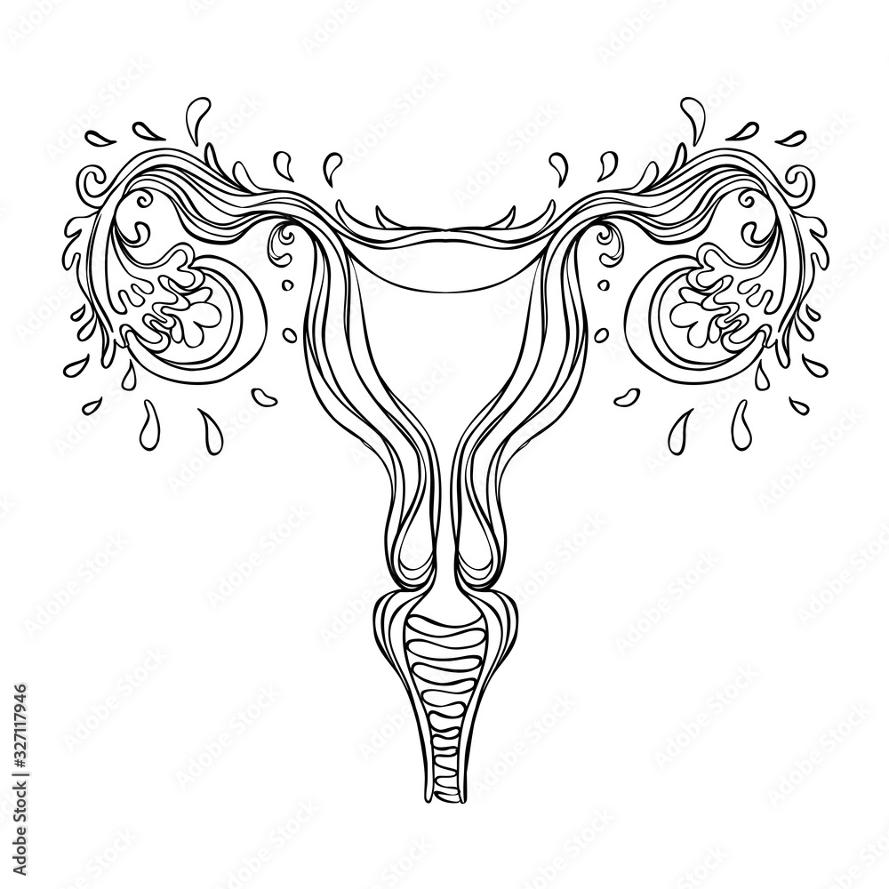 Decorative drawing of female reproductive system with flowers. Hand ...