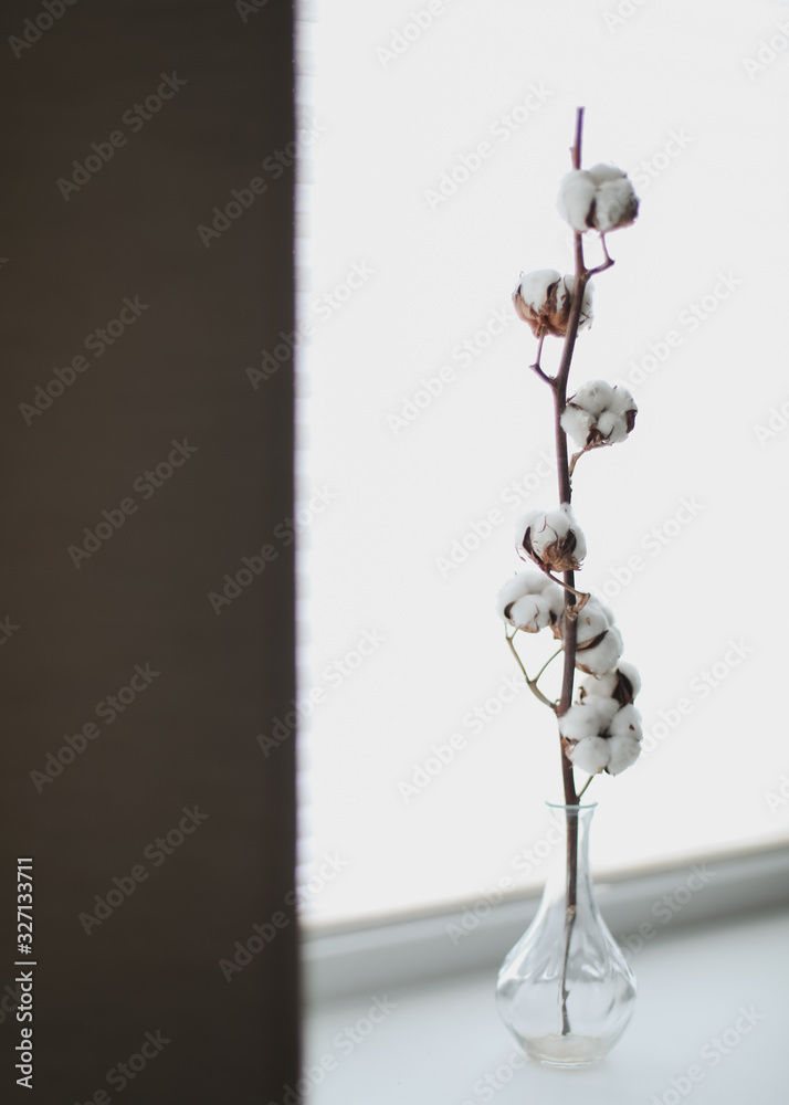 Cotton branch in a vase. Cotton flower and pusy willows close up ...