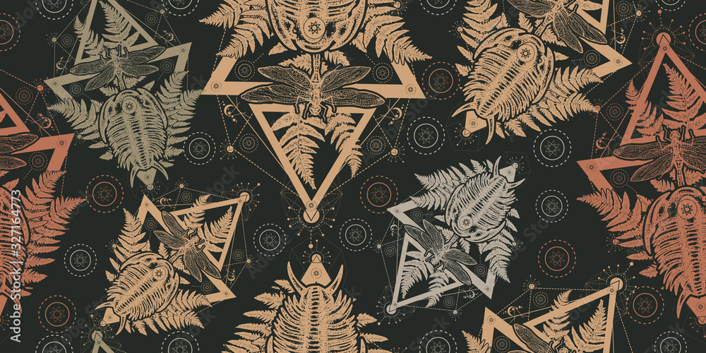 Nautilus shell prehistoric. Ancient ammonite. Seamless pattern. Packing ...