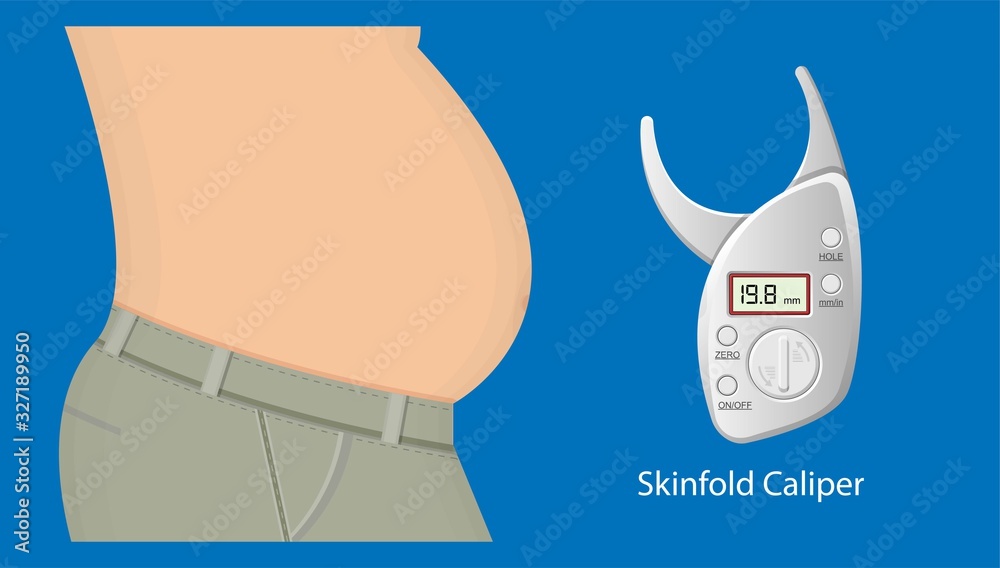 Fat measurement equipment adipometro monitoring overweight determining ...