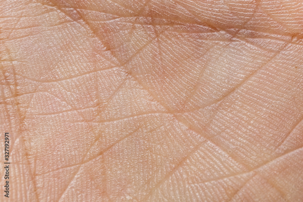 human skin texture in the palm of your hand, light lodoni skin with ...