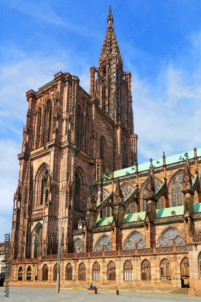 La cathédrale de style gothique Notre-Dame de Strasbourg en Alsace ...