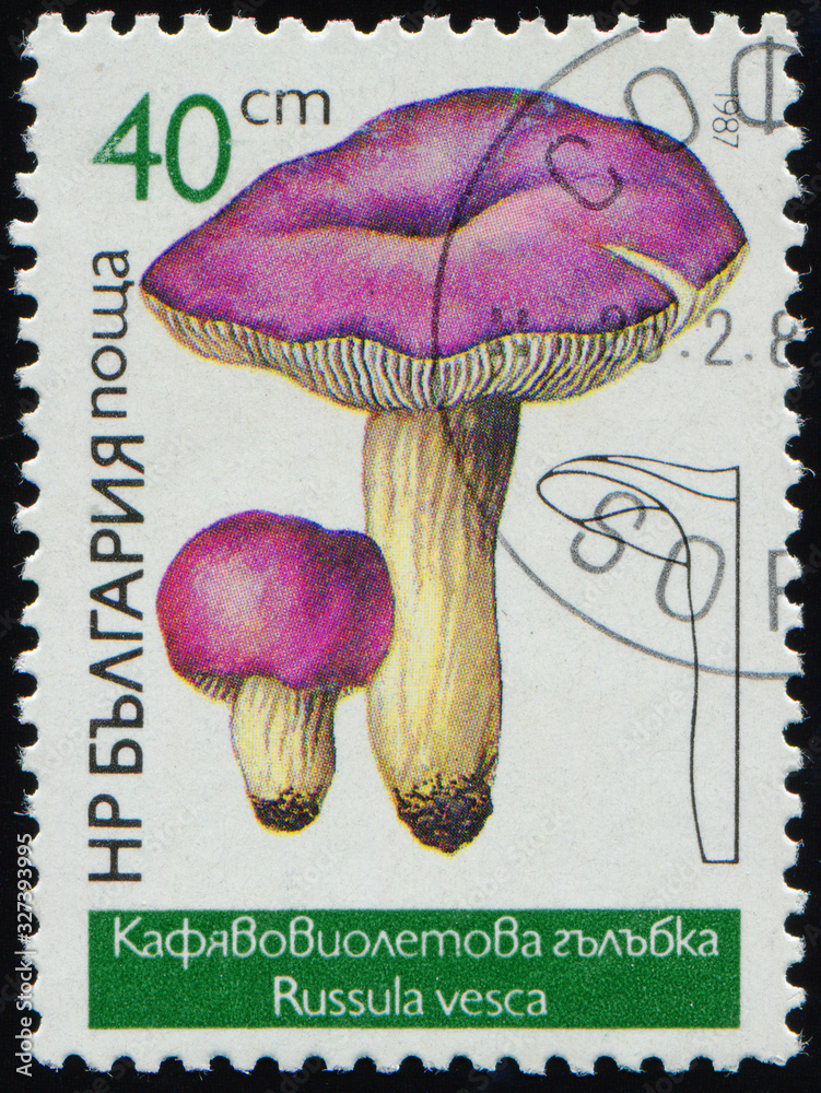 BULGARIA - CIRCA 1987: stamp 40 Bulgarian stotinka printed by Republic ...