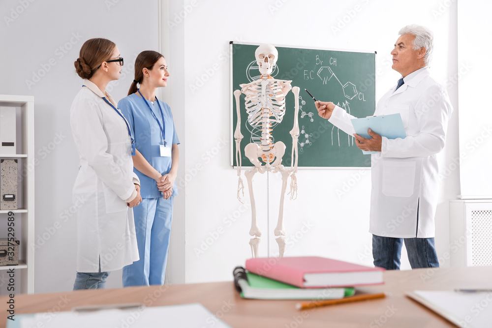 Medical students and professor studying human skeleton anatomy in ...