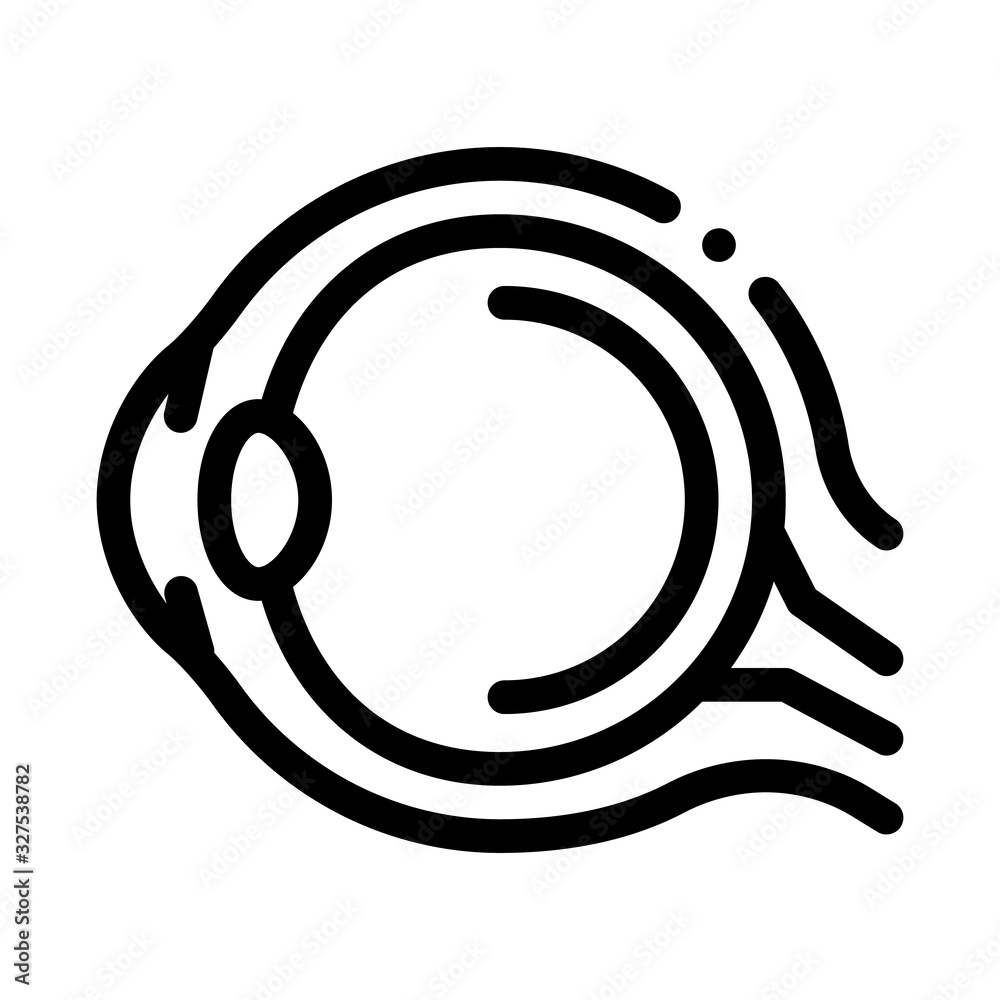 Human Eyeball Anatomy Organ Icon Thin Line Vector. Health Eyeball ...