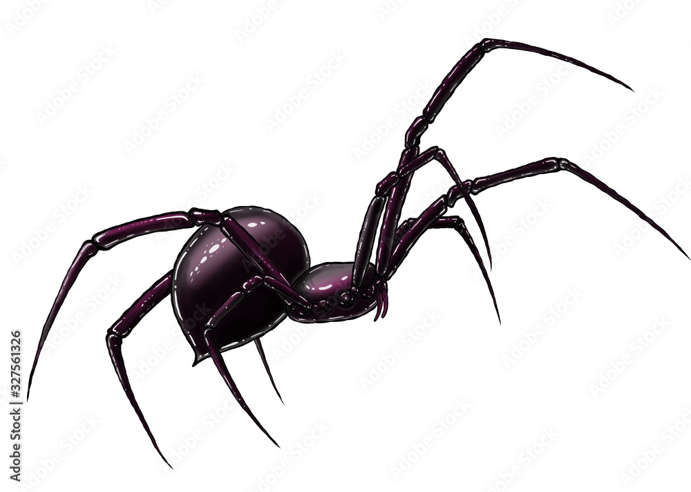 black spider hand drawing. line art illustration. isolated on white ...