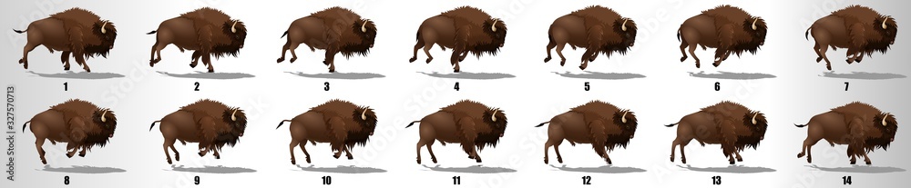 Bison Run cycle animation frames, loop animation sequence sprite sheet Stock Vector | Adobe Stock