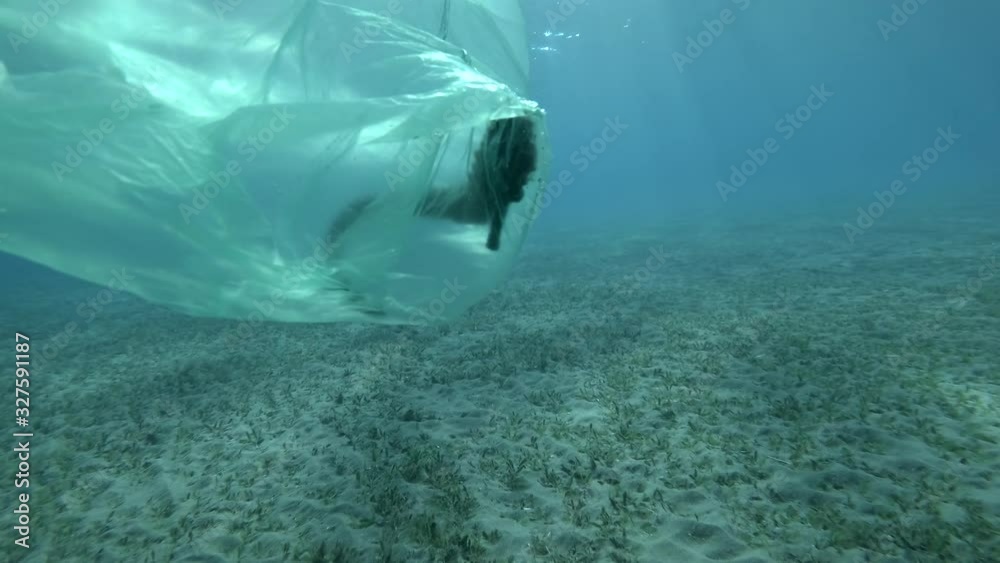 Seahorse trapped in plastic bag and drifts over sea bottom. Plastic ...