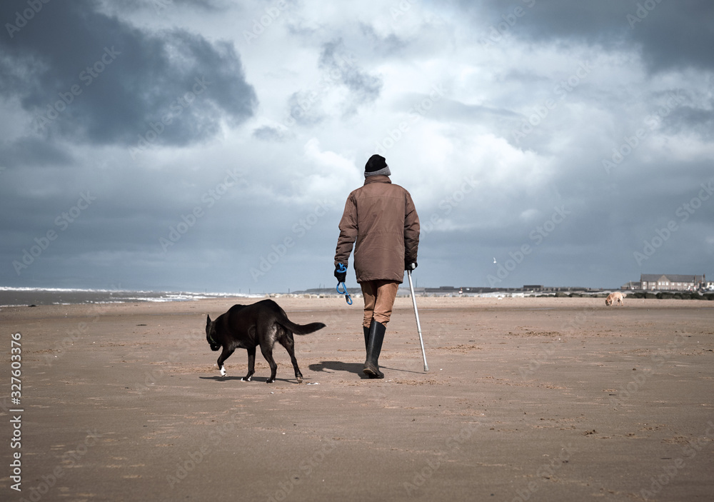 Is Walking Good For Old Dogs