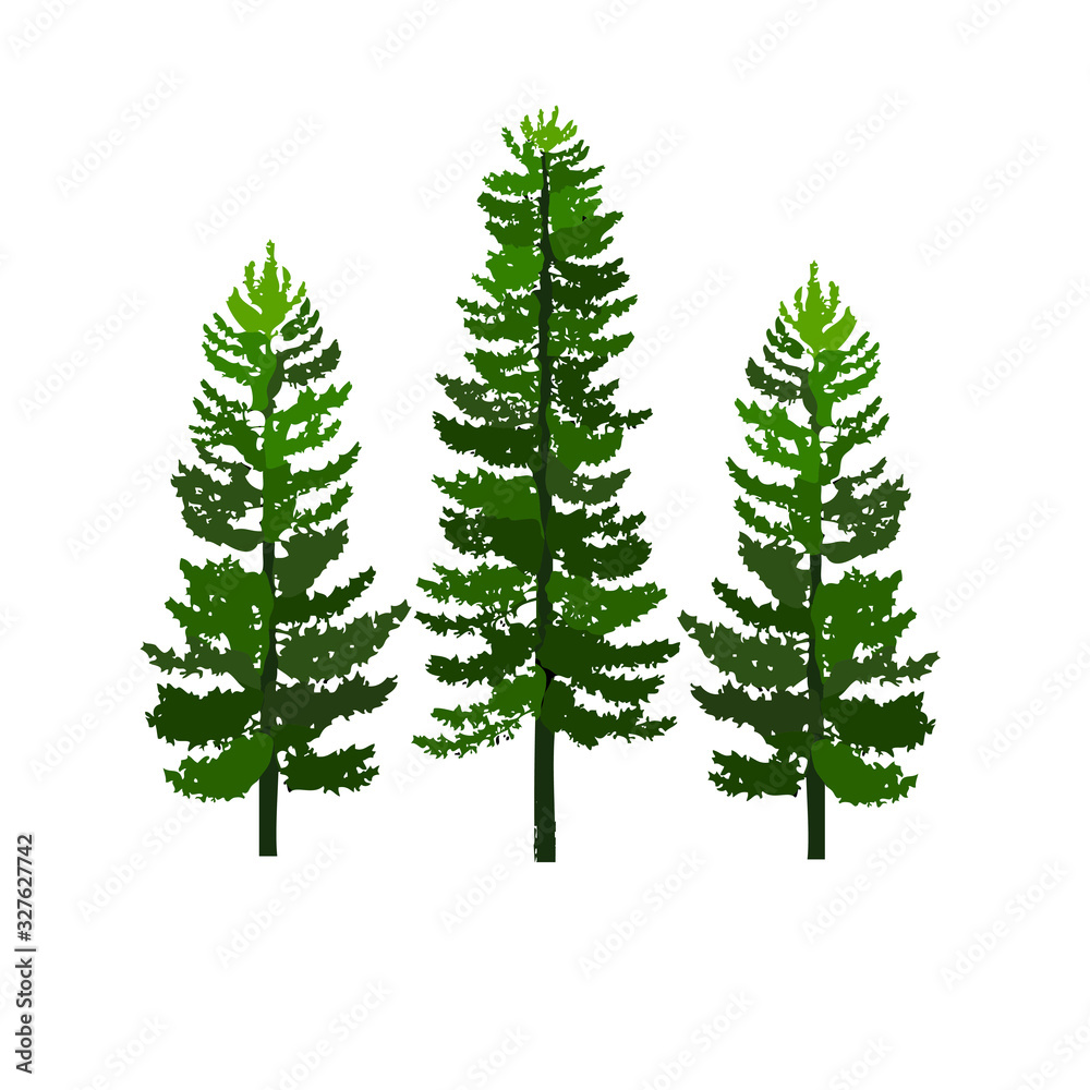 green pines tree isolated on white background vector Stock Vector ...
