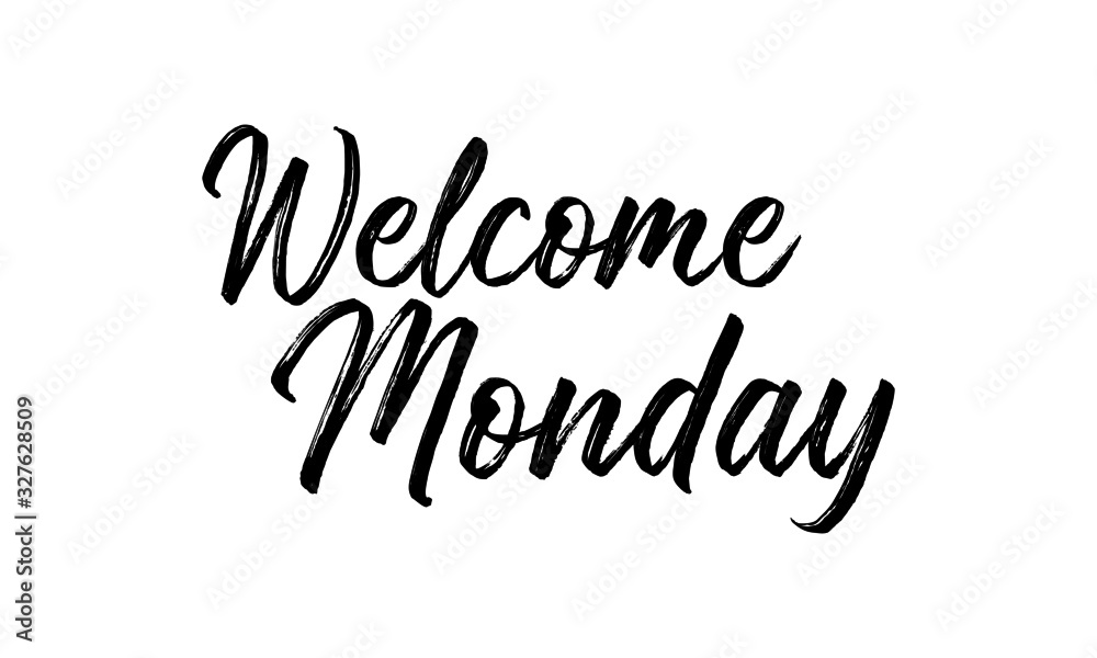 Hand drawn typography lettering phrase Welcome Monday on the white ...