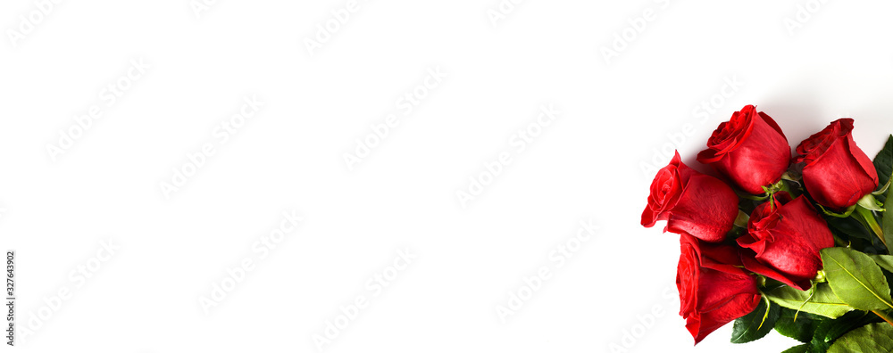 Red roses on white background wide banner. Bouquet of fresh rose ...