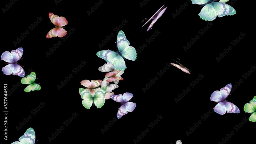 This stock motion graphics video shows colorful butterflies flying on ...