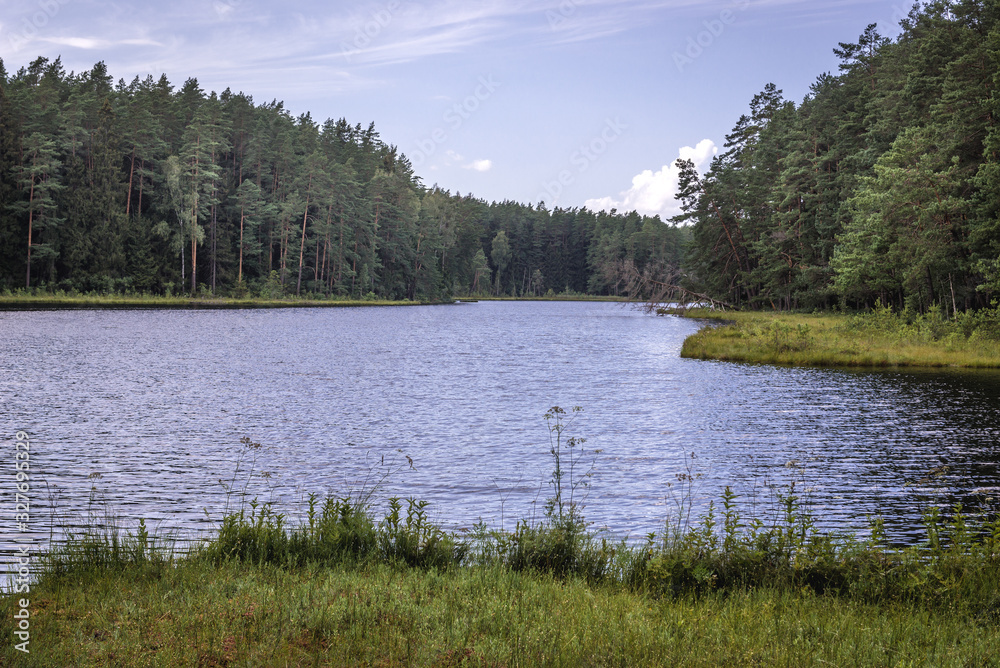 Lake Suchar Wielki also called Duzy Sucharek located in Wigry National ...