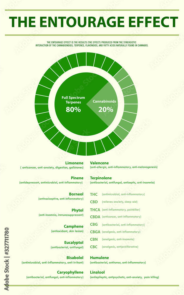 The Entourage Effect Proportion vertical infographic illustration about ...