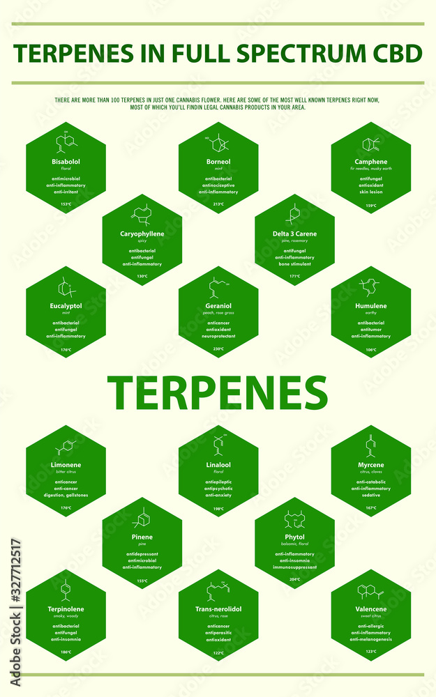 Terpenes in Full Spectrum CBD with Structural Formulas vertical ...