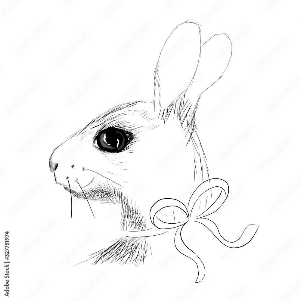 Vector hand drawn bunny hare with ribbon. Sketch drawing adorable ...
