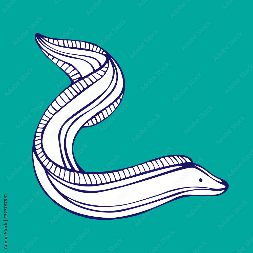 Hand drawn decorative vector illustration of eel. Isolated on white ...
