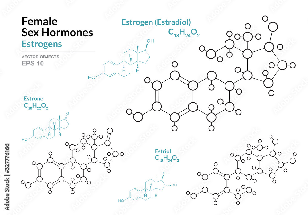 Estrogens Estradiol Estrone Estriol Female Sex Hormones Structural Chemical Formula And