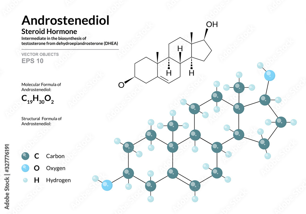 Hormone Androstenediol. Structural Chemical Formula and Molecule 3d ...