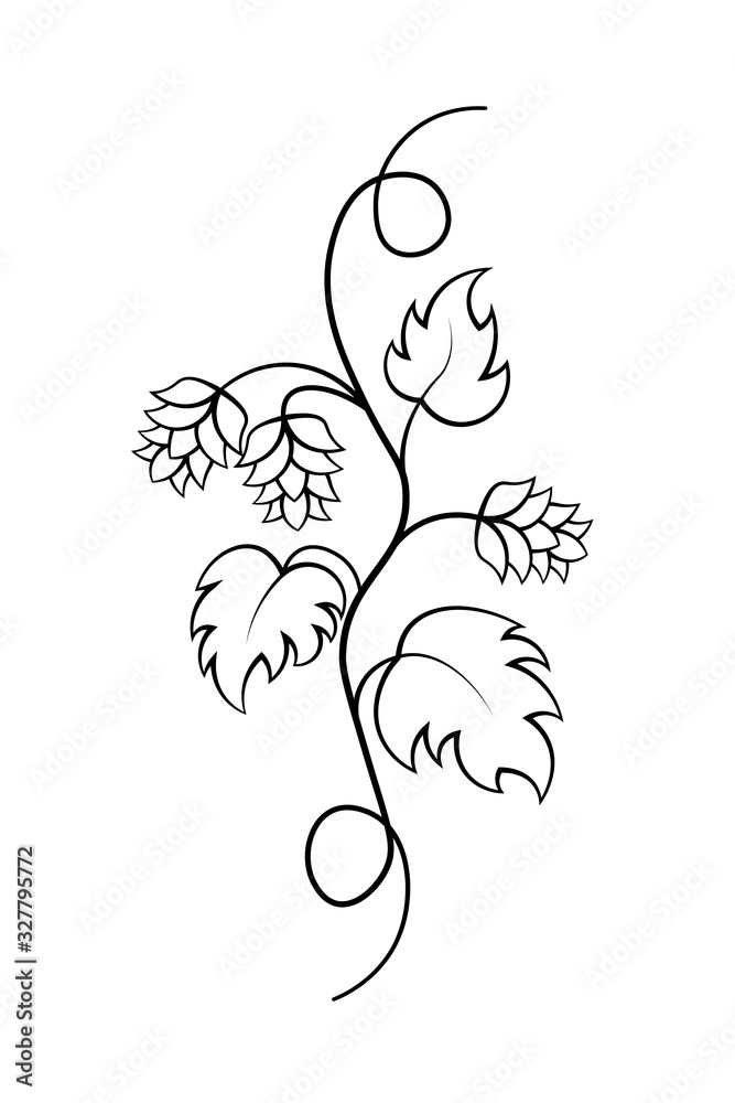 Hop vine illustration. Clipart image isolated on white background Stock ...