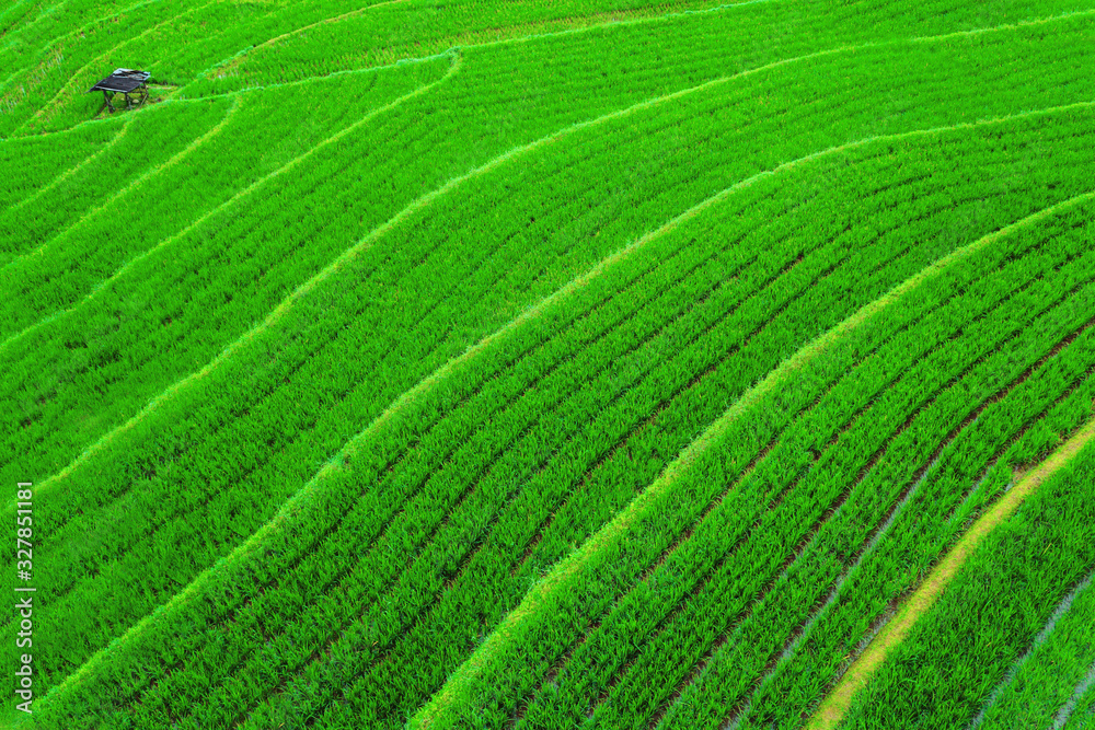 the natural beauty of the green rice paddies with small huts taken from ...